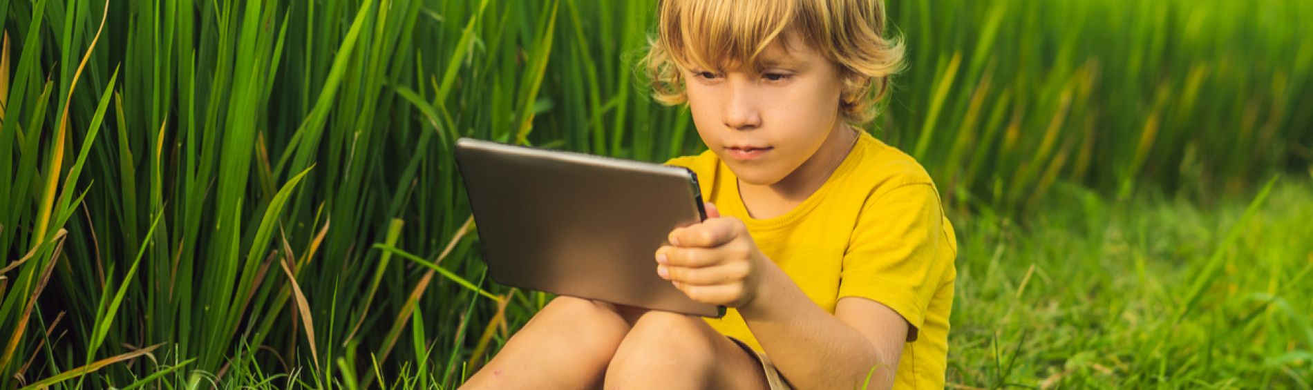 summer-learning-bc-agriculture-in-the-classroom-foundation